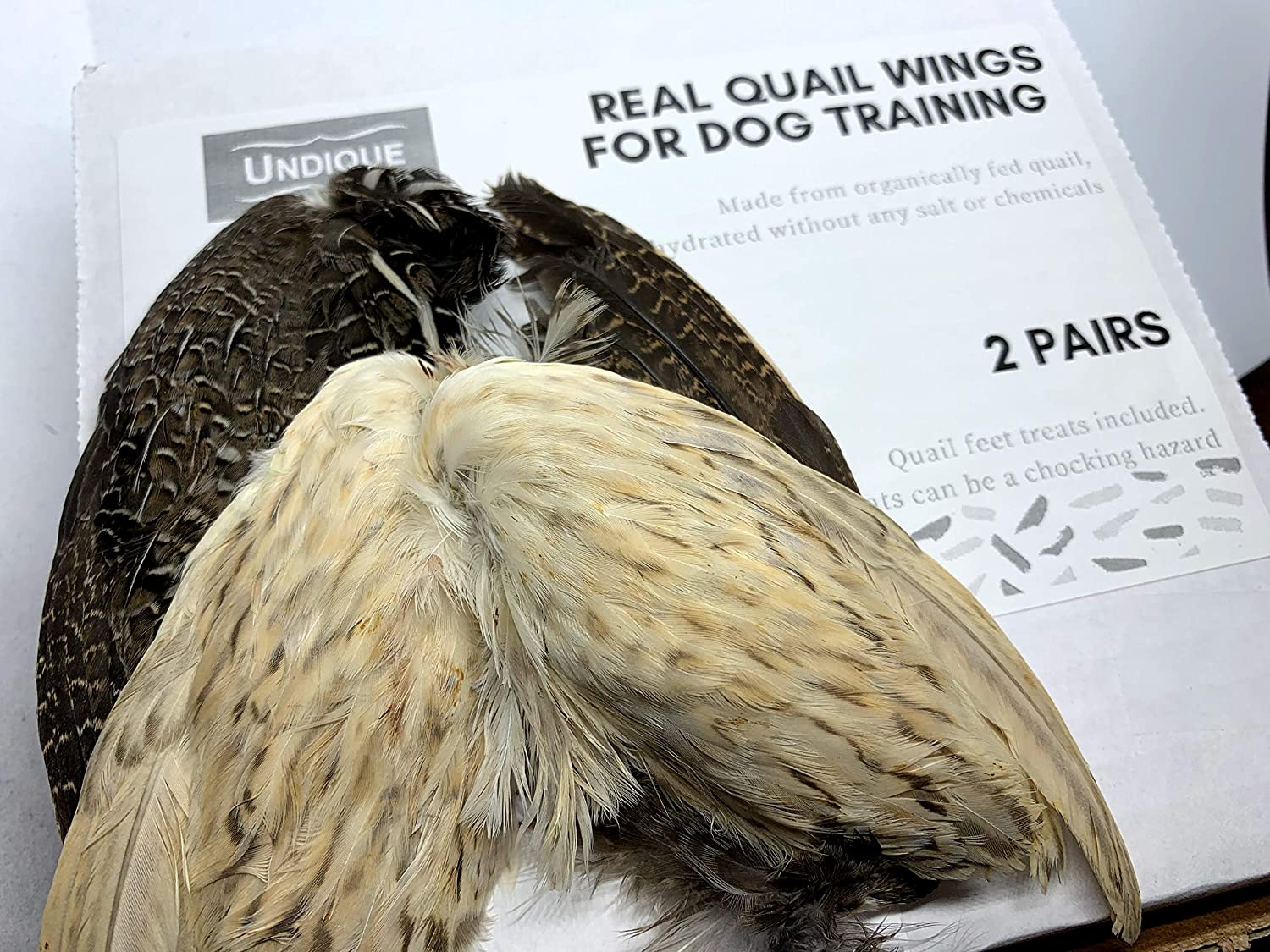 Real Quail Wings for Bird Dog Training 2 Pair